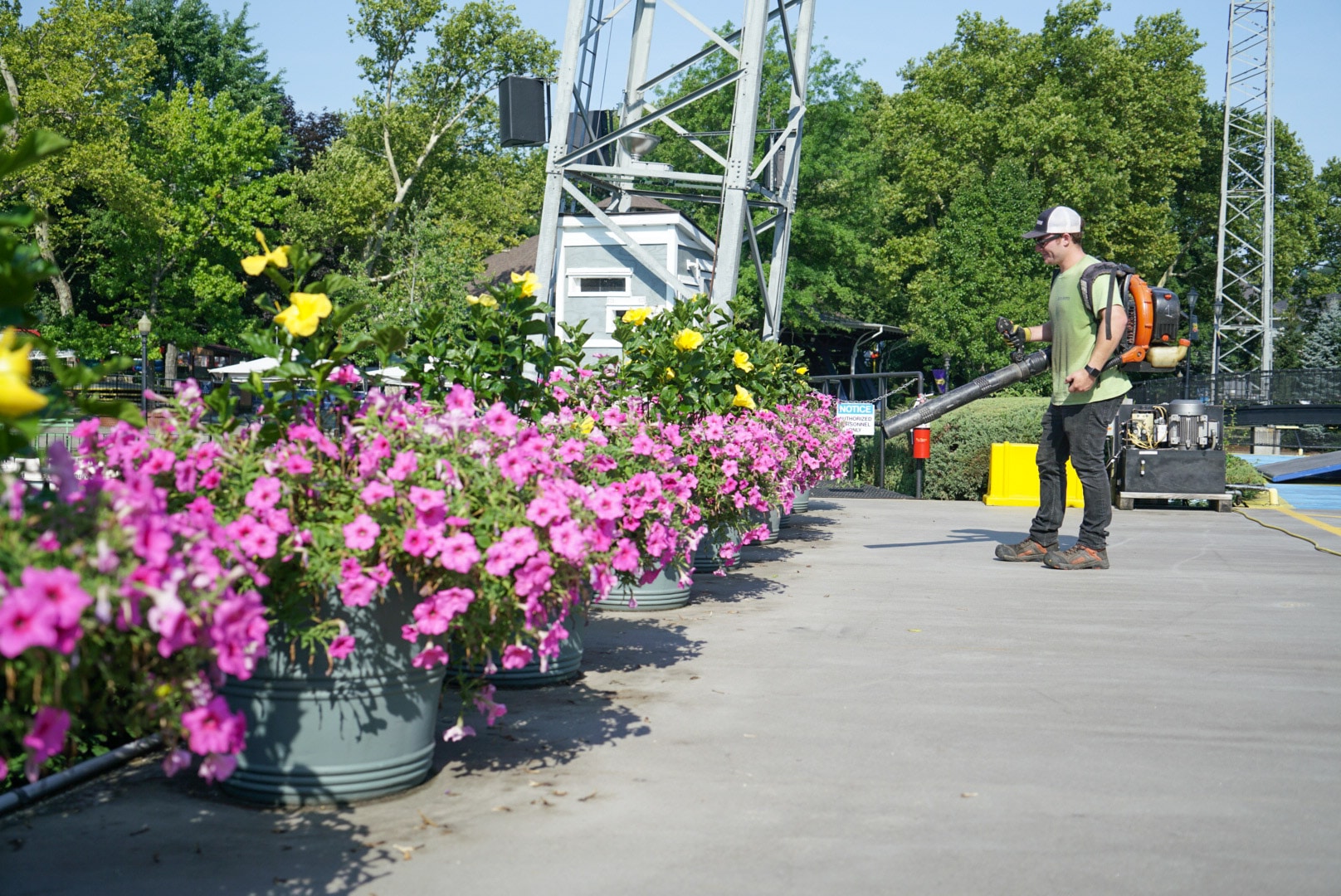 Five Reasons to Start Your Green Industry Career | Sylvan Gardens Blog